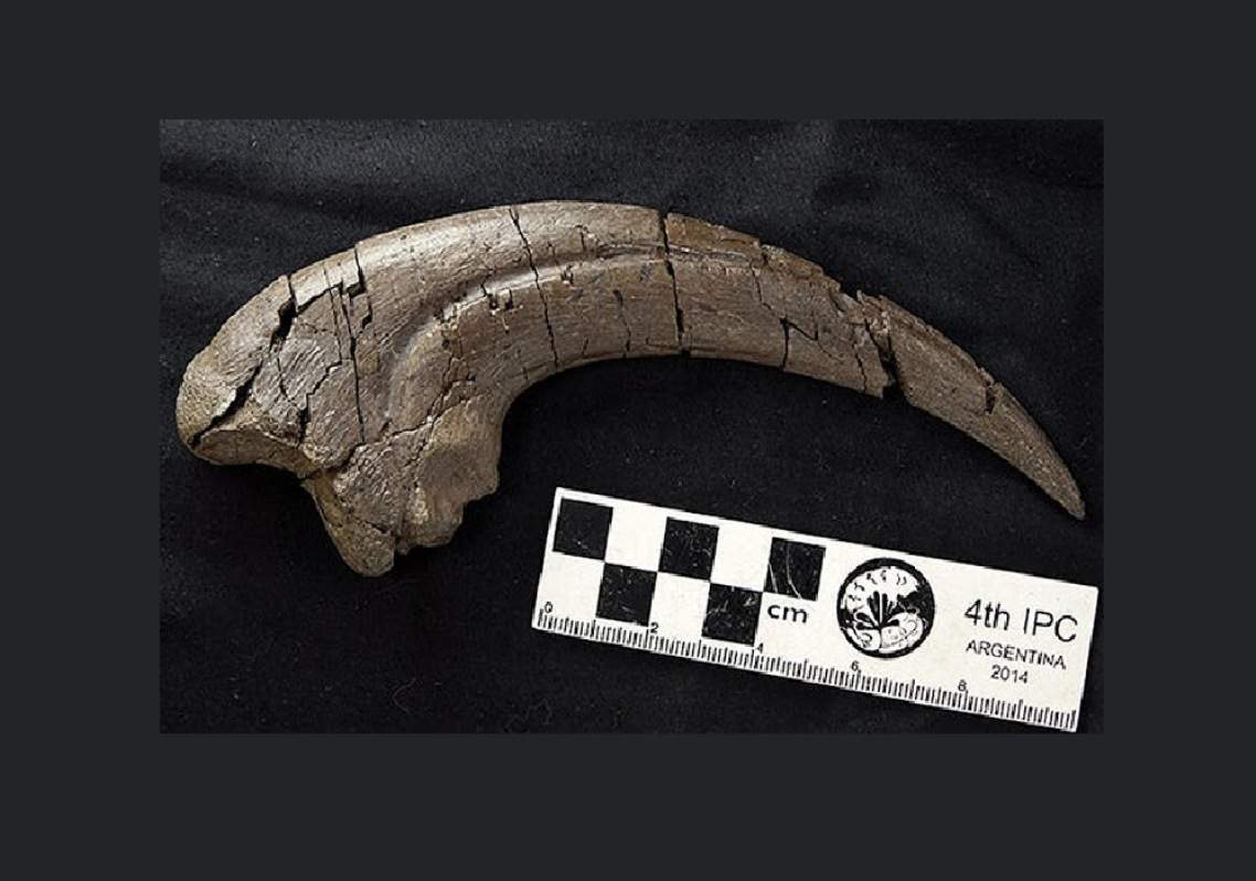 Scientists Unearth Huge Claw From 110-million-year-old Carnivorous ...