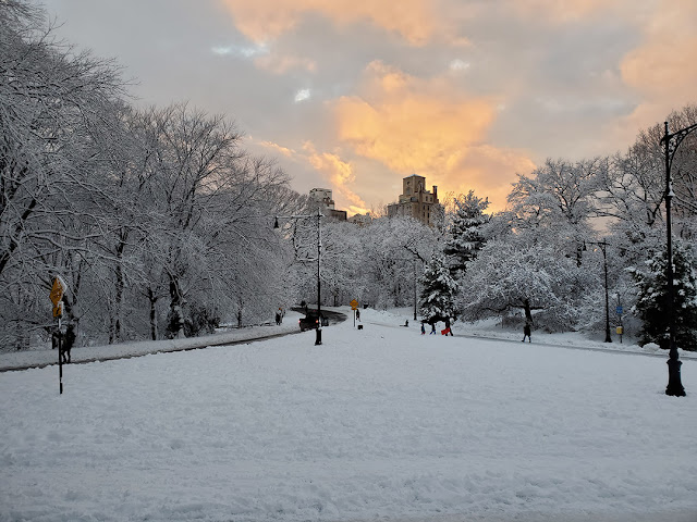 66 Square Feet (Plus): Happy snow daze