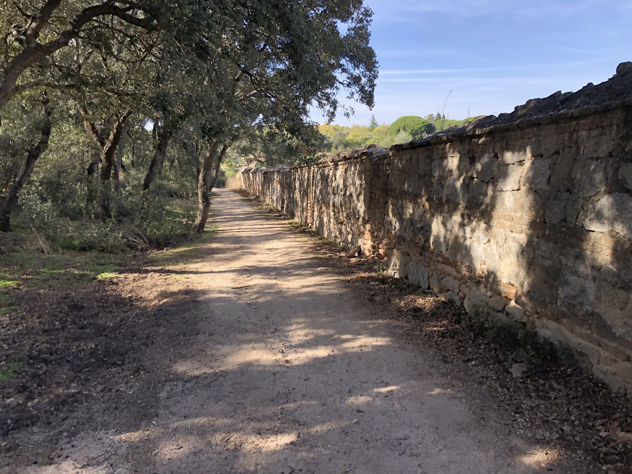 Ruta de senderismo circular por El Pardo y la Quinta - Conmimochilacuestas