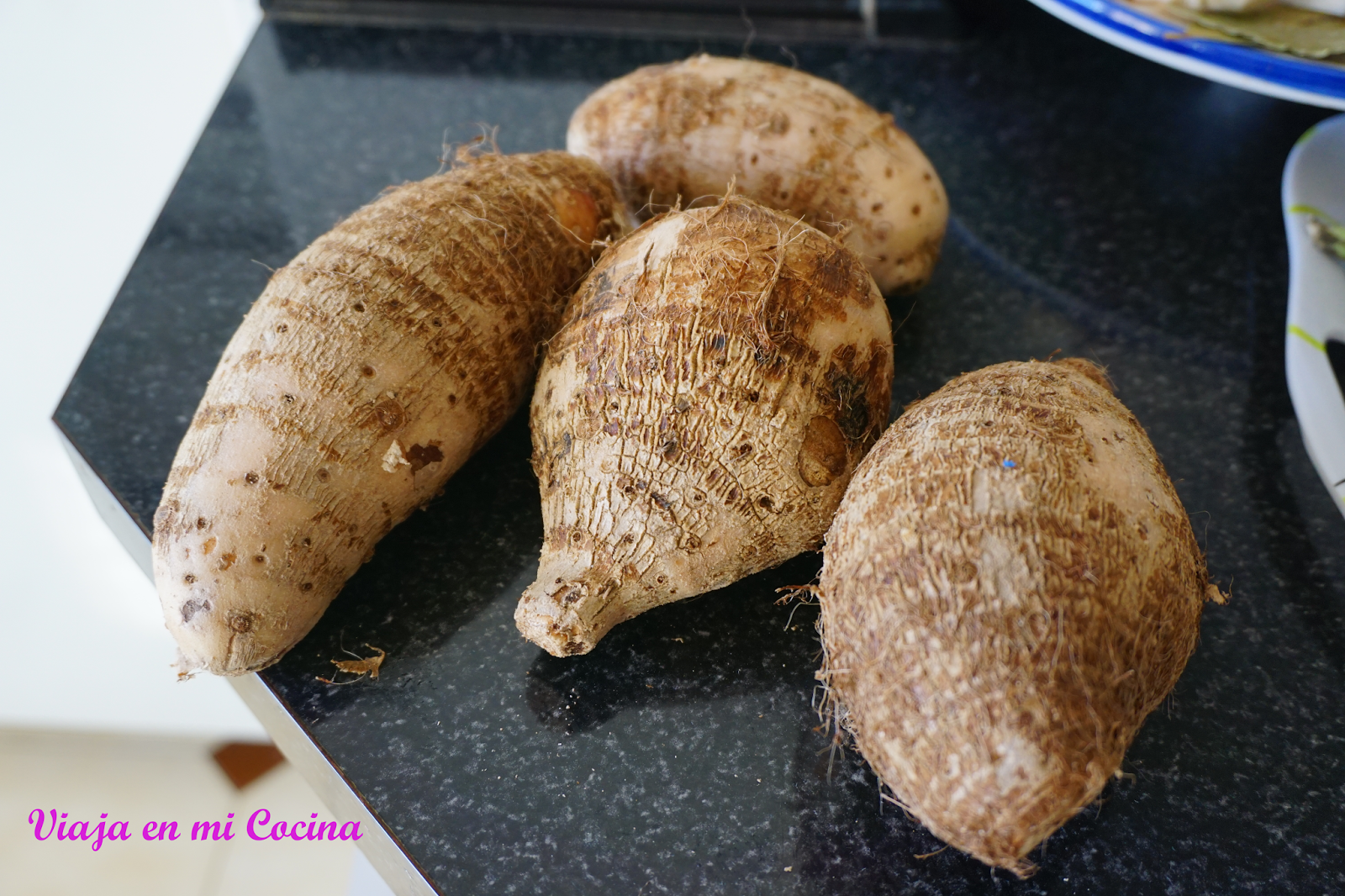 Malanga ,Yautía o Taro - Viaja en mi Cocina