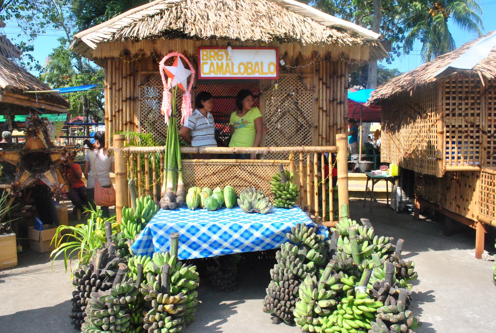 Jenny's Island Adventures: Agri-Tourism Fair at Hinigaran