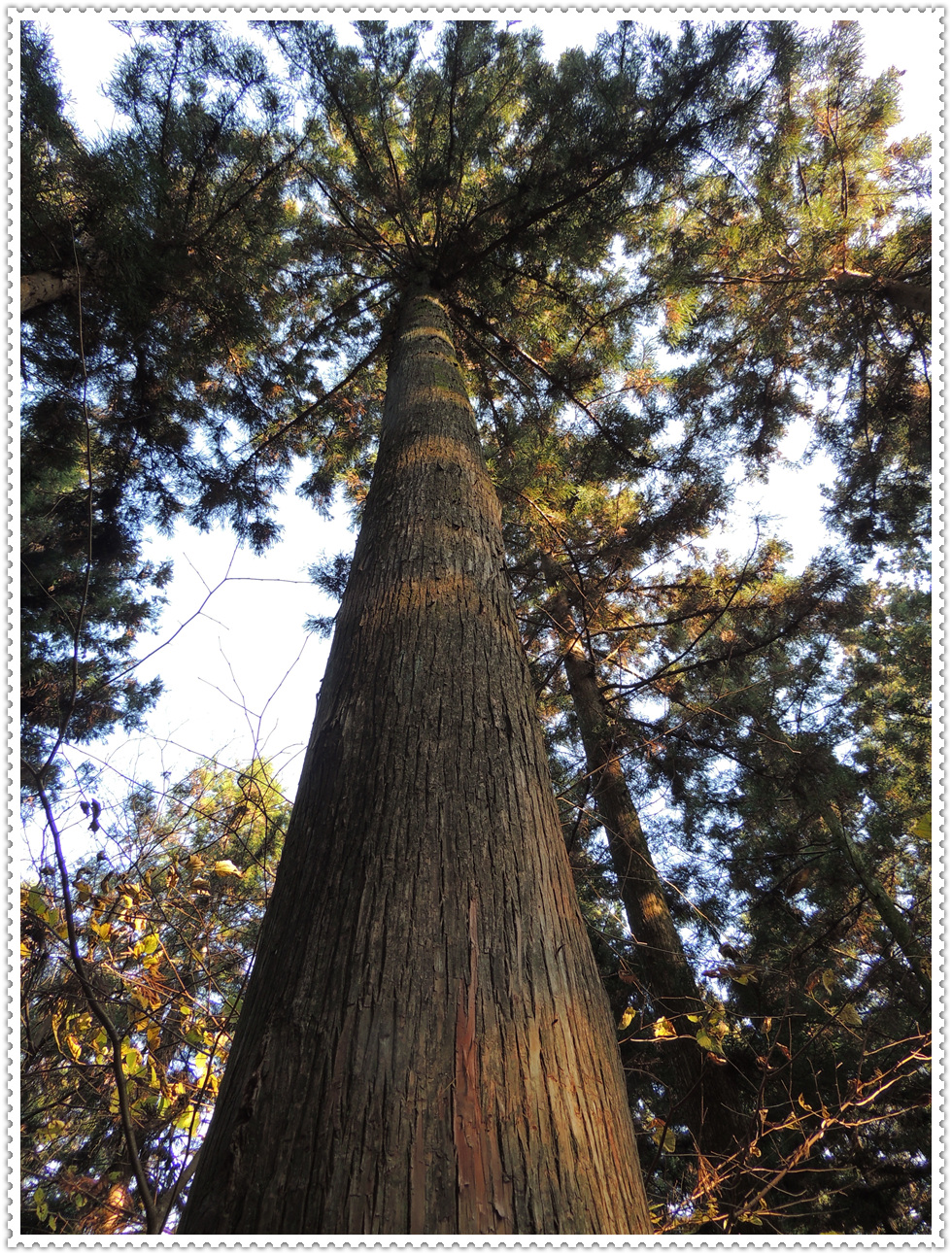 불기2567-12-27_아비담팔건도론-k0943-004 - 불교진리와실천