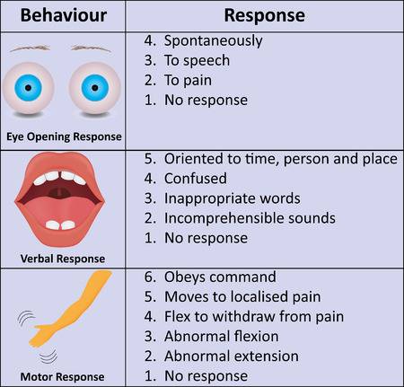 The Paediatric Glasgow Coma Scale - Mr. Green Healt Nurse