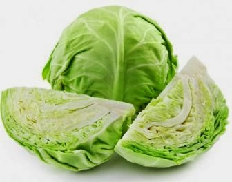 septiembre 2014 ~ Guía para plantar