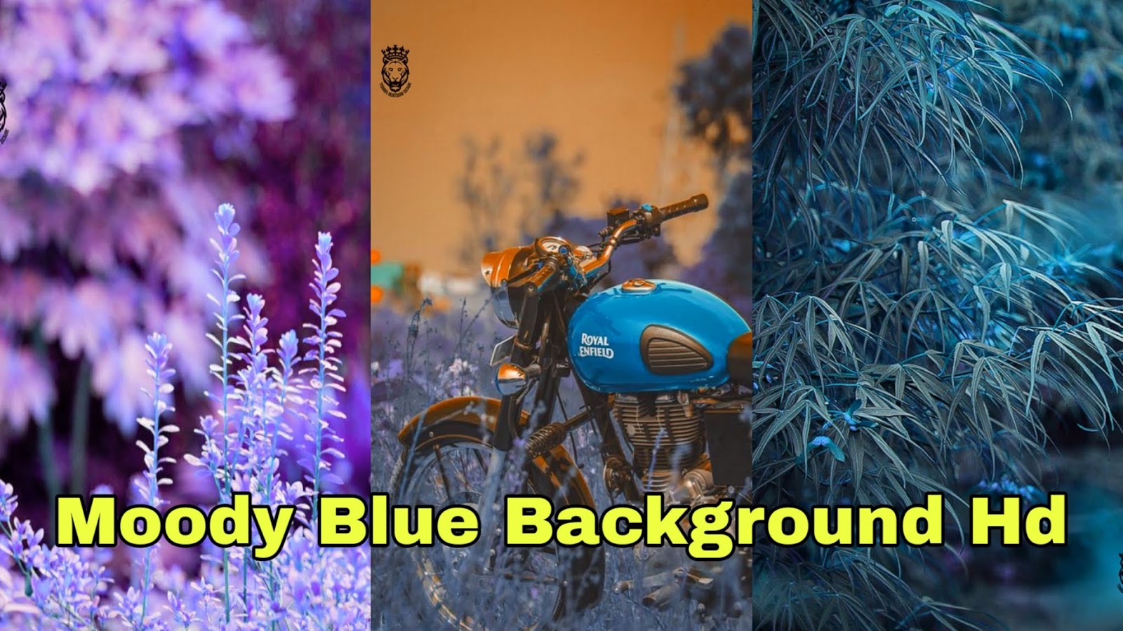 Hd Background for Editing | Background Images Download | Png Stock