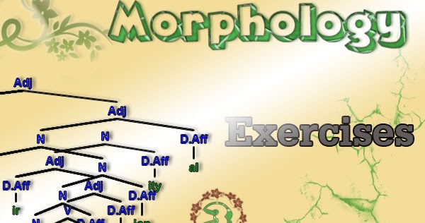 English Morphology Exercises - Part 3 | NitoAnswers