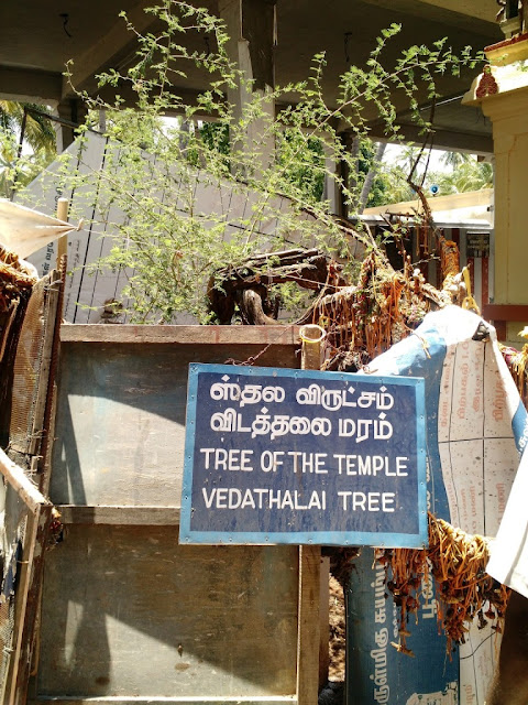 Tamilnadu Tourism: Saneeswara Bhagavan Temple, Kuchanur, Theni
