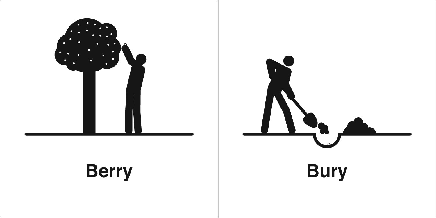 How to pronounce Bury.... Heh heh! | Bury, Berries, Homophones