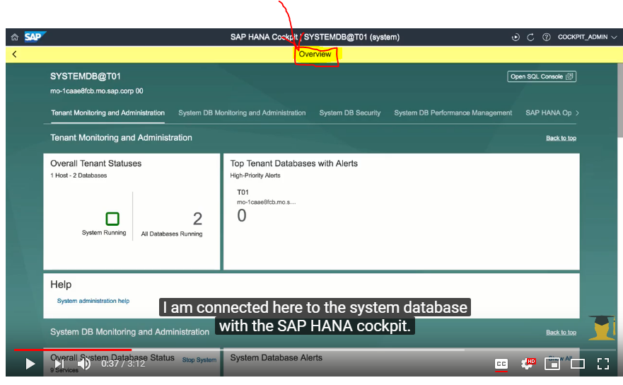 SAP BASIS MADE EASY: SAP HANA COCKPIT NOTES 28: creating NEW tenant ...