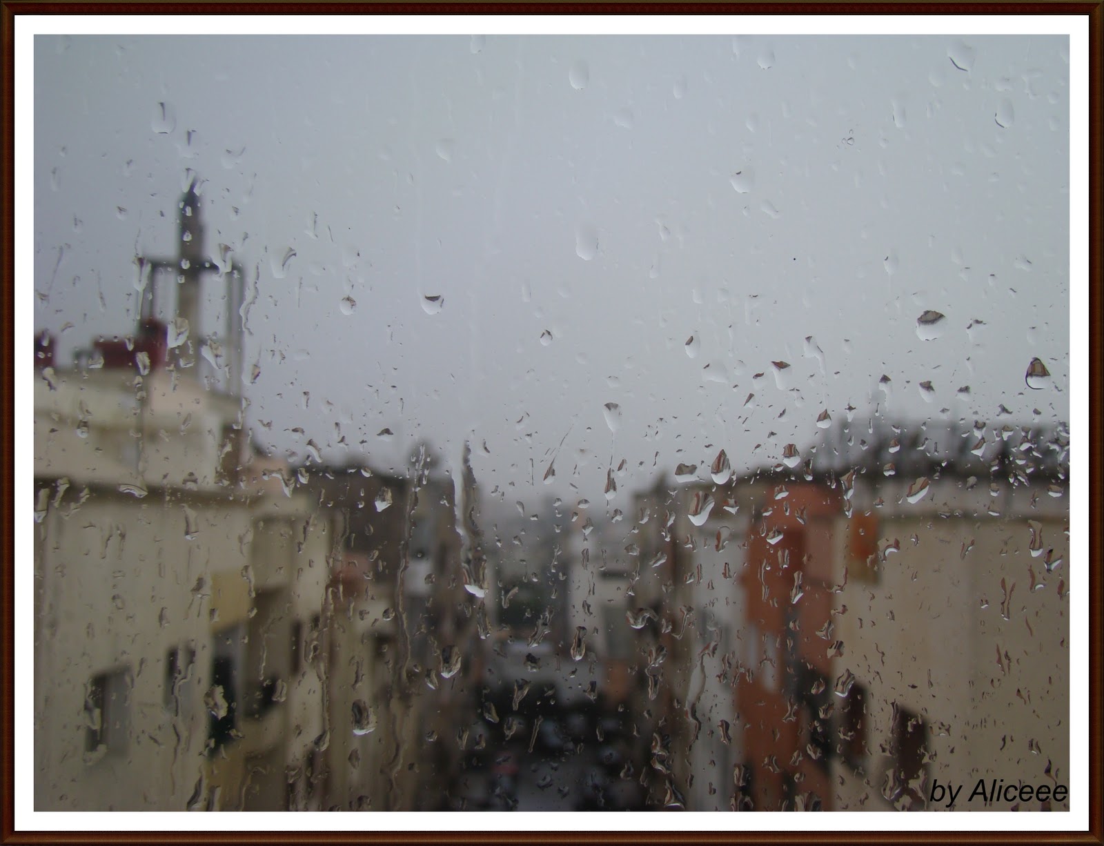 Ploua in Casablanca - Enciclopedia calatorului independent