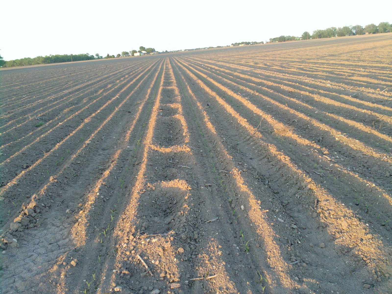 . Kissed A Farmer: July 2012