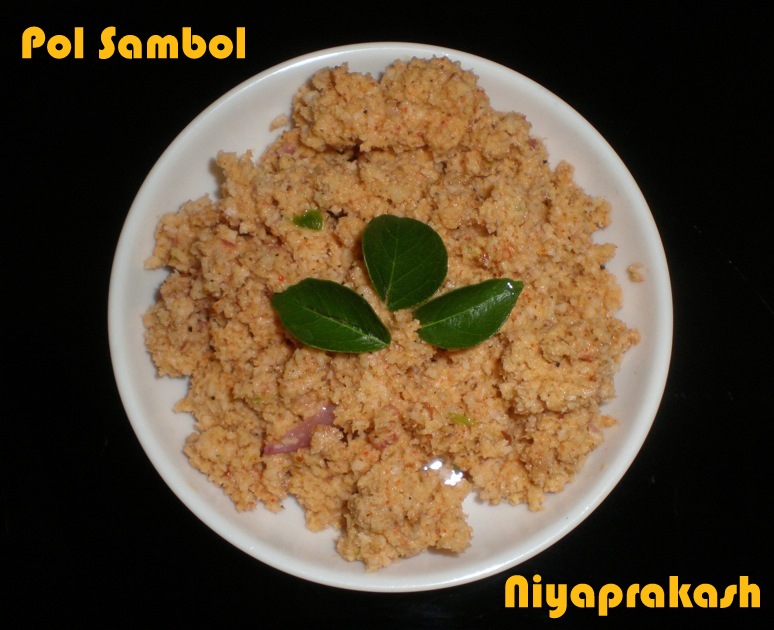 Niya's World: Pol Sambol