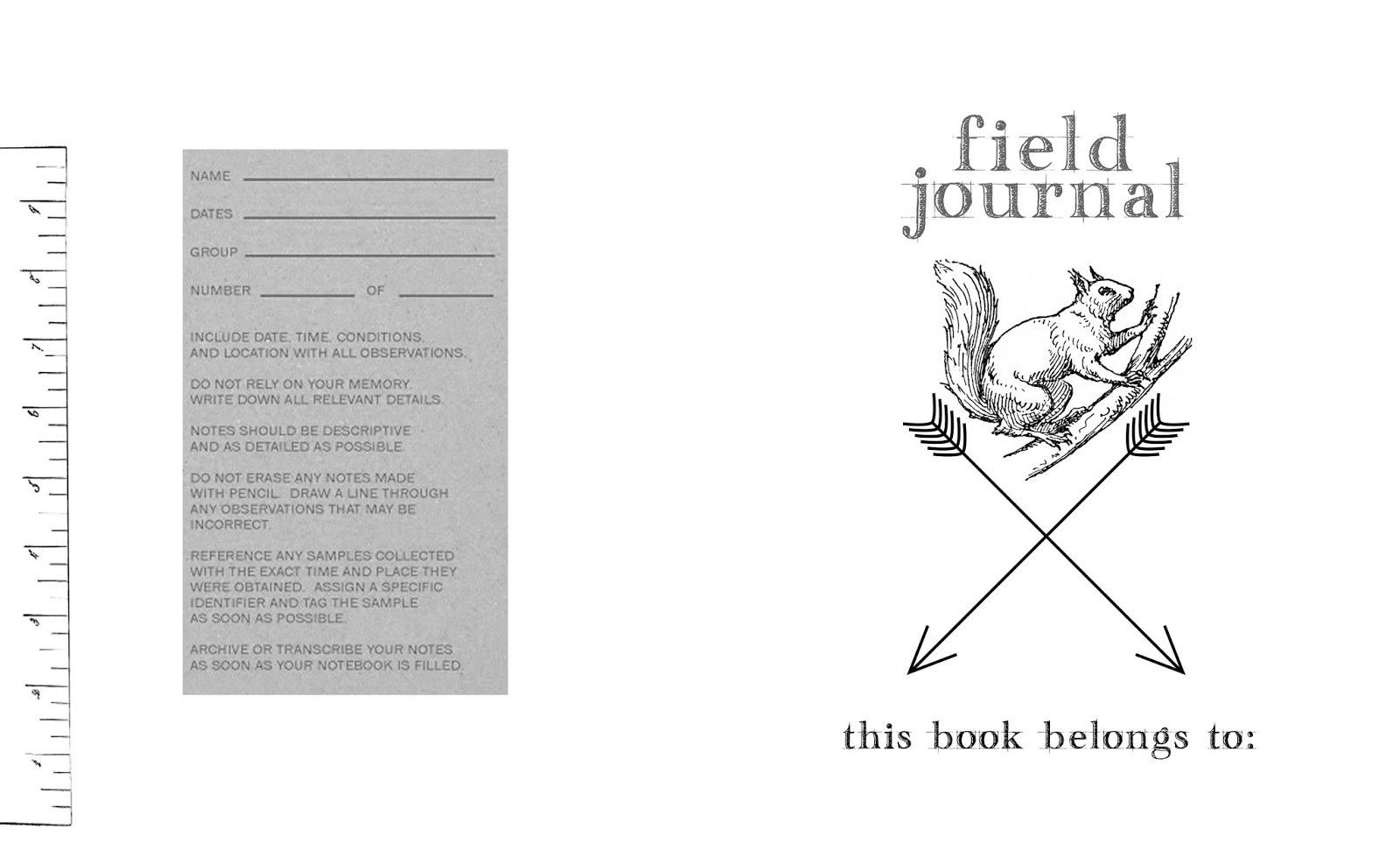 Different Dog - A Simply Beautiful Life: Wild Kratts Field Journal ...