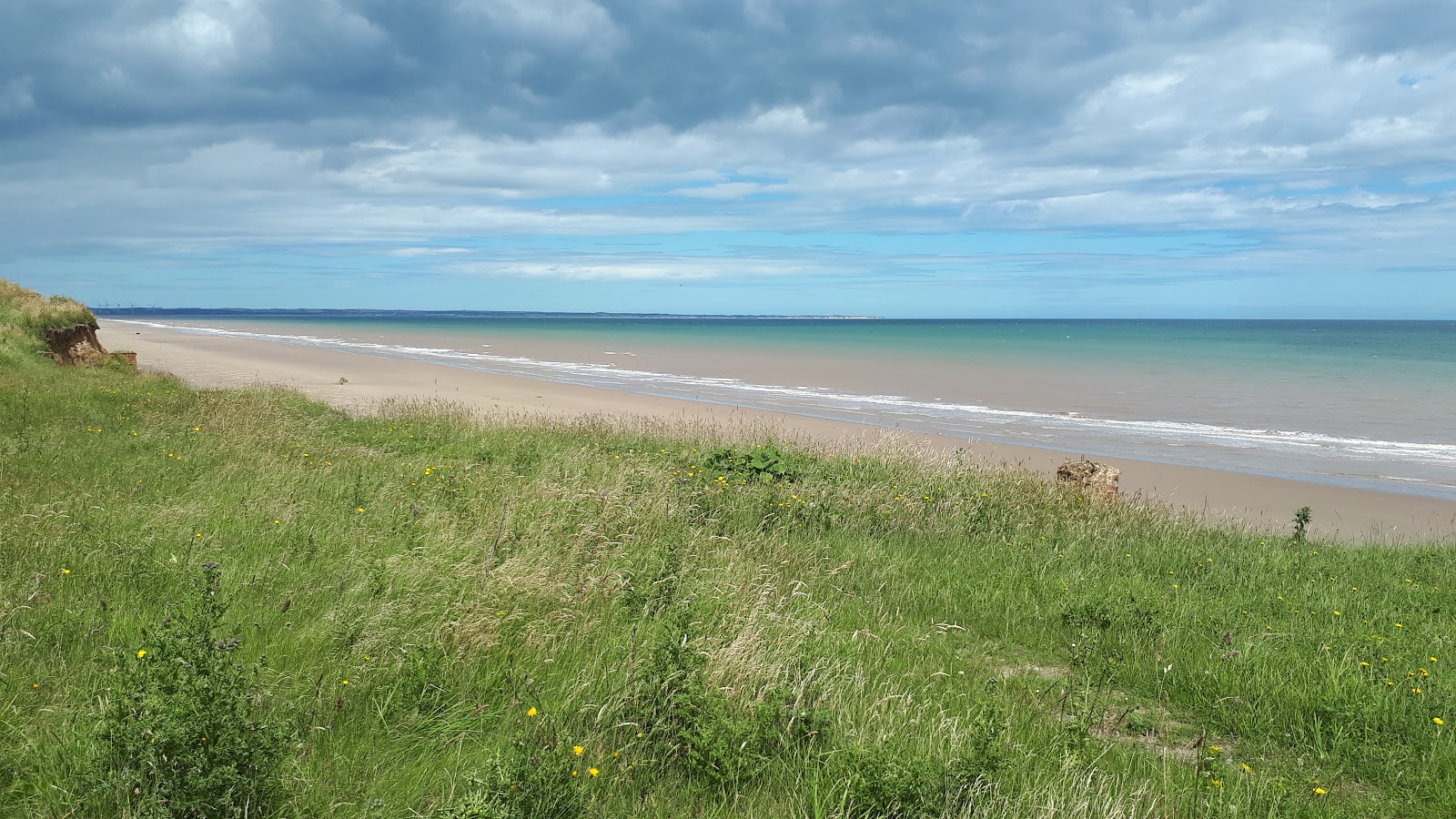 Wild at Hull: Migrants Way. Stage 11. Atwick to Skipsea