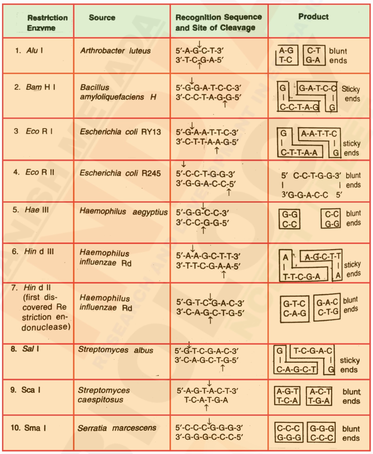 Restriction Endonucleases Molecular Scissors Biology Neet restriction-endonucleases-molecular-scissors-biology-neet