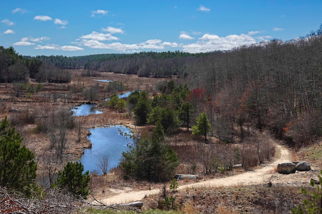 Joe's Retirement Blog: Spring, Tidmarsh Wildlife Sanctuary, Mass ...