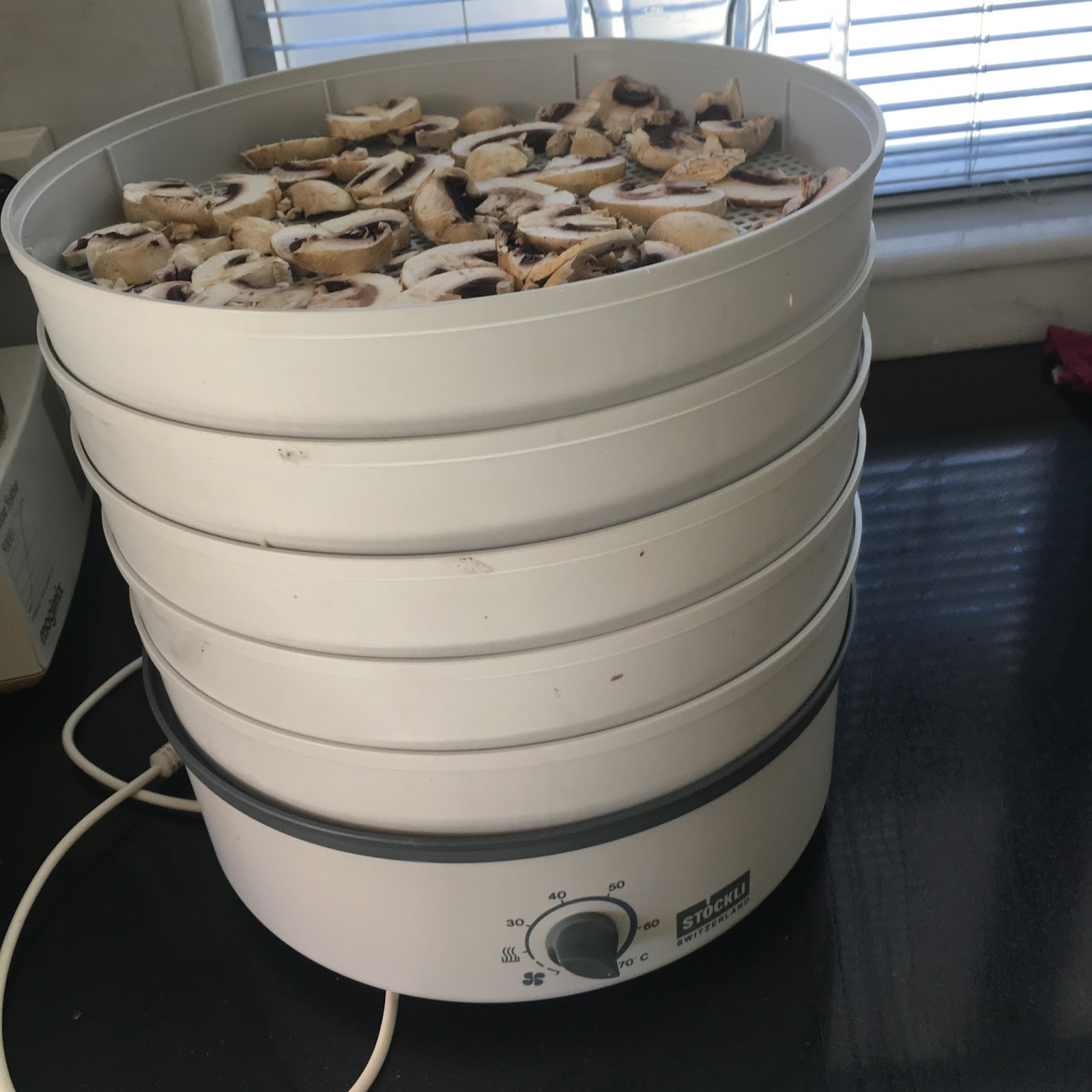 HEX - passie voor zelfmaken: gedroogde champignons of andere paddenstoelen