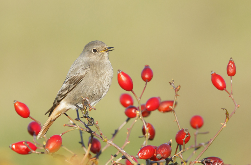 Nikos Fokas Photopraphy Blog