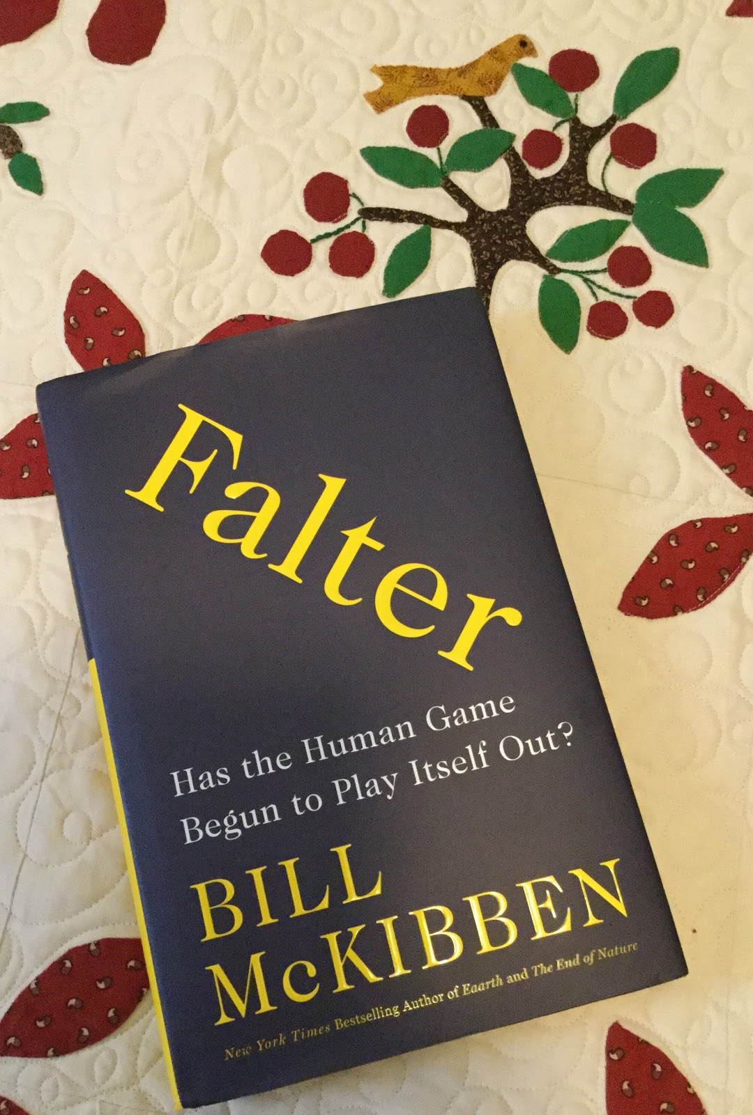 The Literate Quilter: Fatler by Bill McKibben