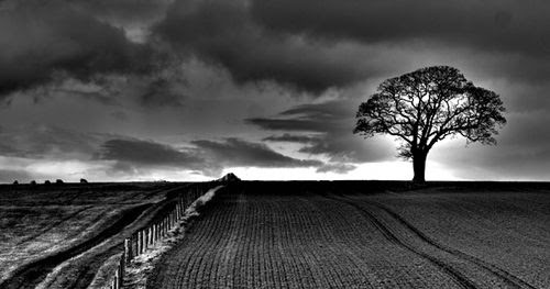 Daniel Promin: The Power of Black & White Photographs