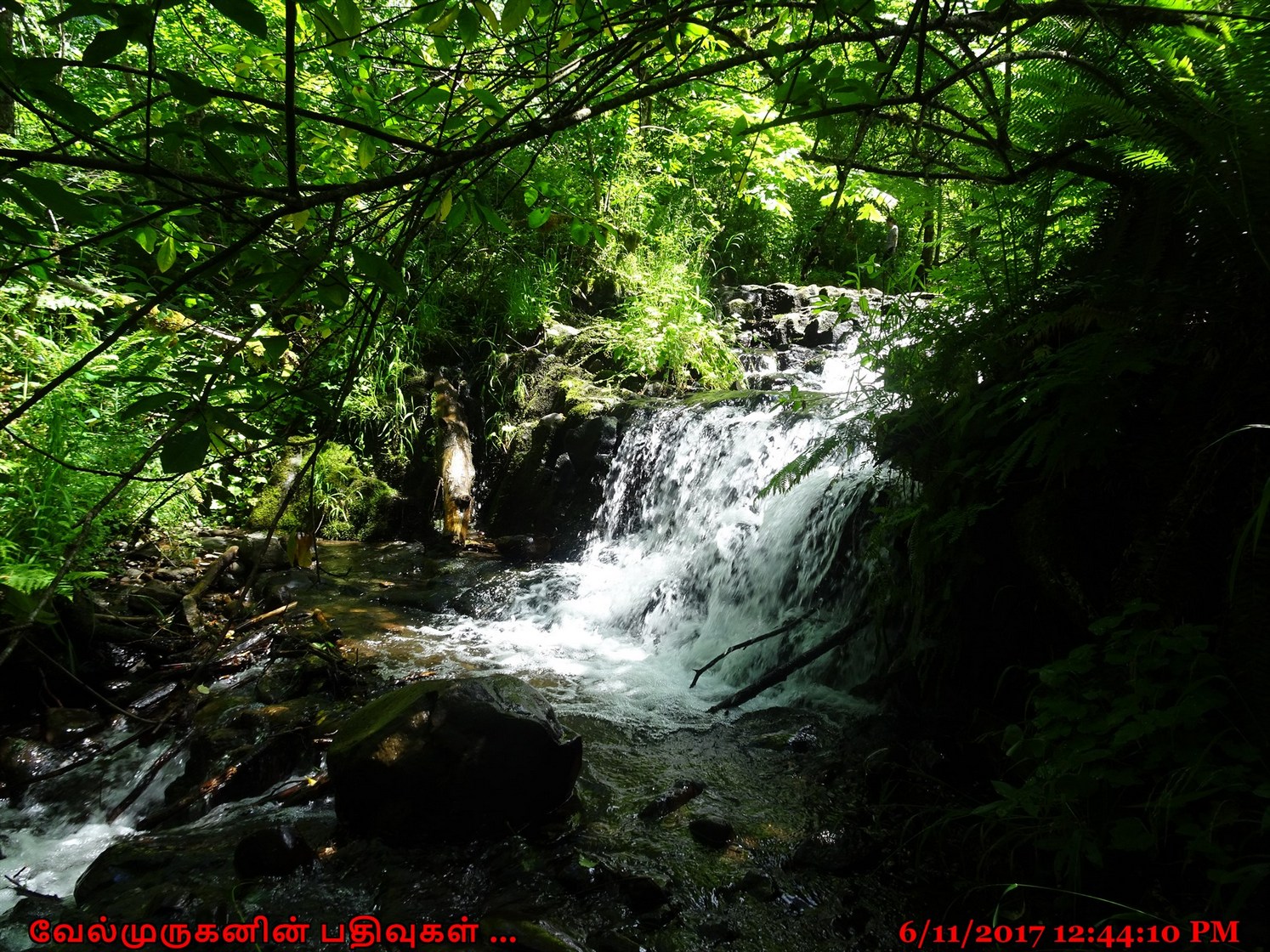 Angels Rest Hiking Oregon - Exploring My Life