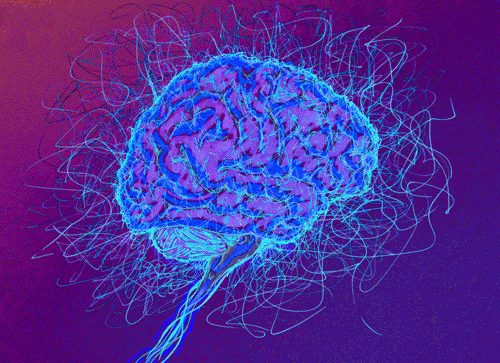 Plantando Ciência: Introdução à Neurofisiologia