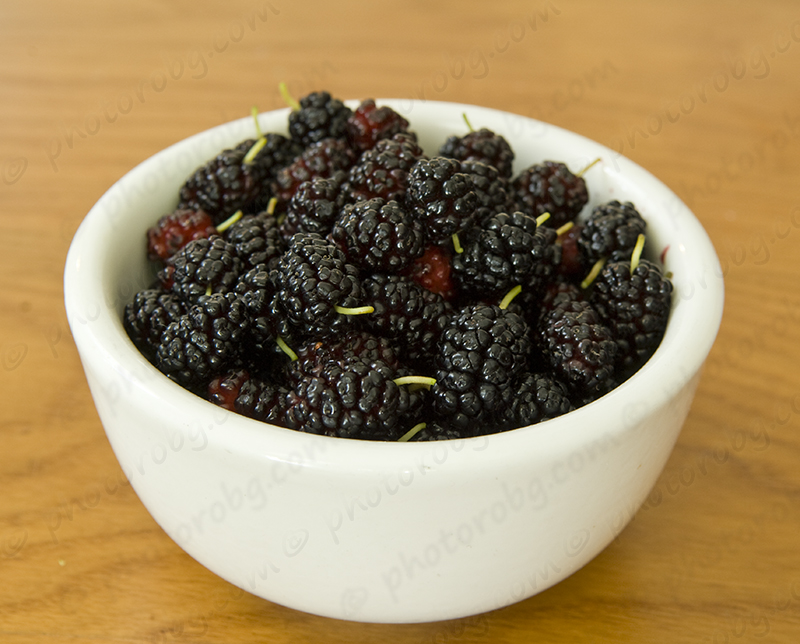 The 3 Foragers: Foraging for Wild, Natural, Organic Food: Mulberry ...