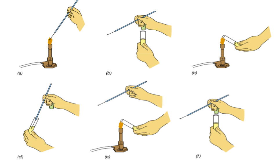 PRACTICA 1: ESTERILIZACION Y MANEJO DE ASAS, TAPONES Y TUBOS