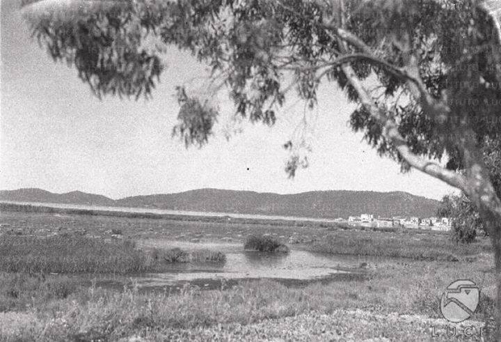 Αιτωλικό: ''Μη ενεργοί Πολίτες": ΑΙΤΩΛΙΚΟ 1940 - ΦΩΤΟΓΡΑΦΙΕΣ ΑΠΟ ΤΗΝ ...