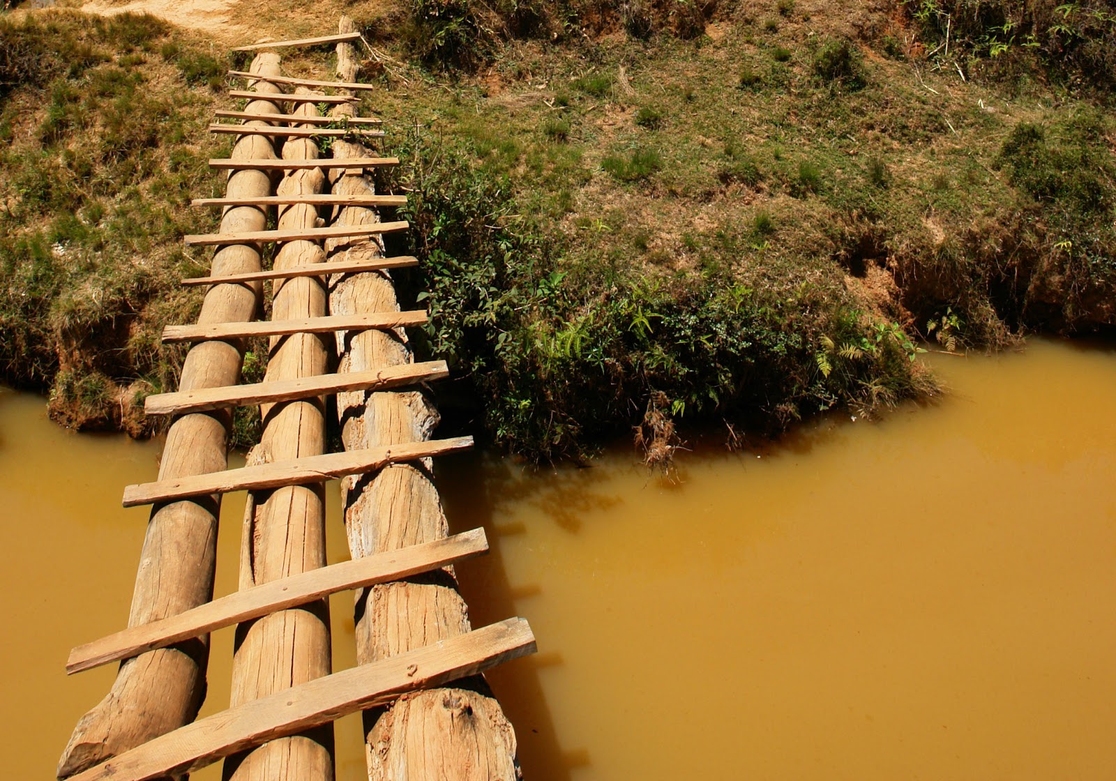 Africa-inspired Balance Beam Fun: Crossing the Bridge at Alligator ...