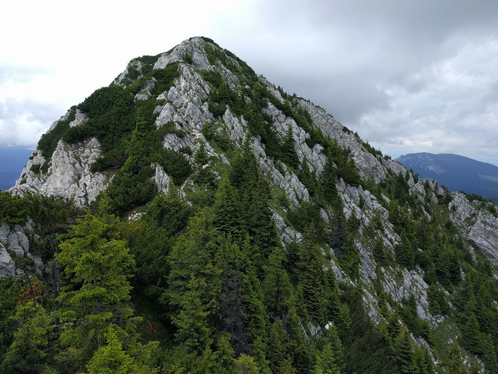 Blog de Calatorii si Drumetii Montane.: Piatra Craiului(Pestera-Saua ...