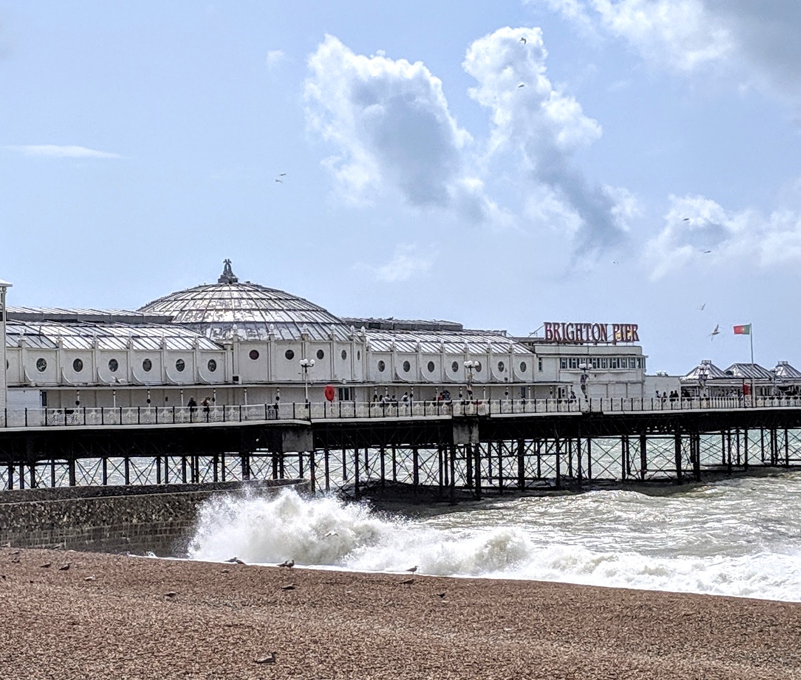 11 Top Tips for Visiting Brighton with Kids | North East Family Fun