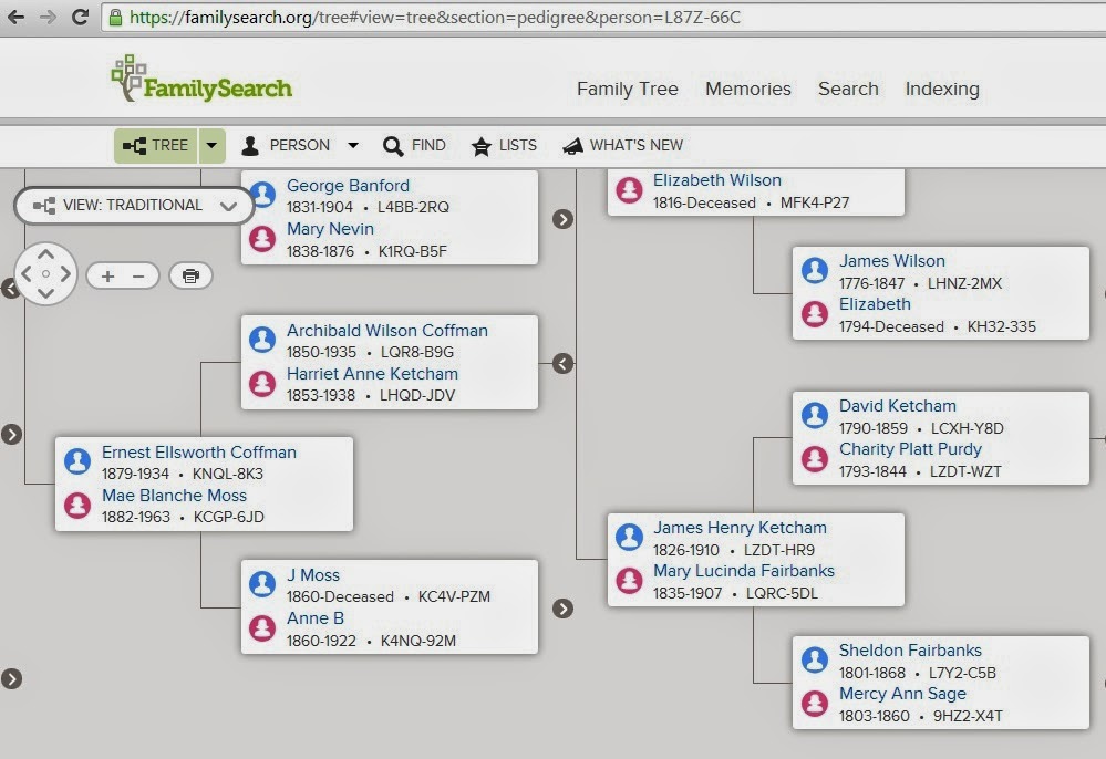 AncestorPuzzles.com: Building Your Family Tree, Part 1