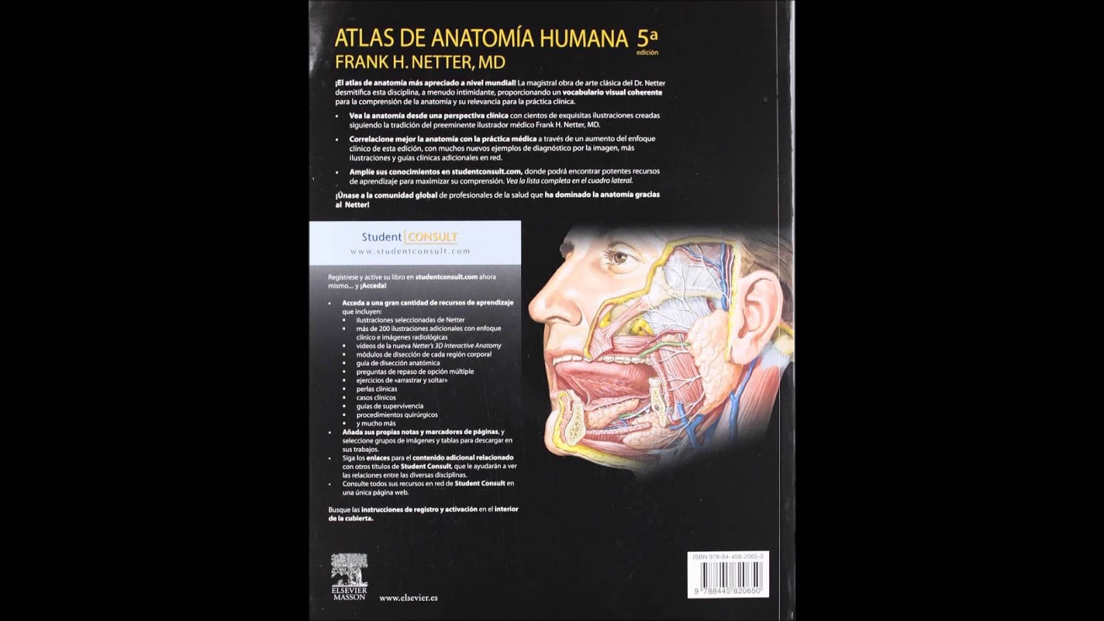 atlas de anatomia humana netter pdf - wood scribd braxin