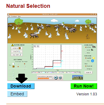 Mrs. Strong's AP Biology: Natural Selection PHET simulation