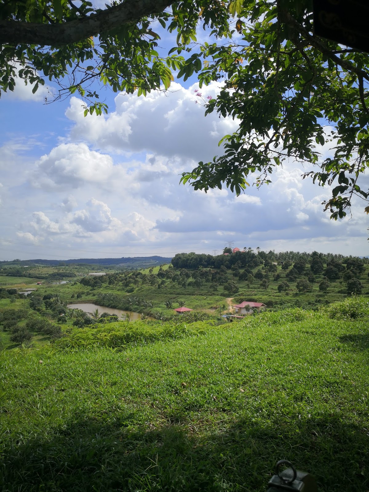 SELANGOR FRUIT VALLEY - Hi5 the world