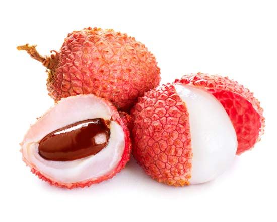 Cara Menanam Buah Leci (Litchi Chinensis) - berkebun