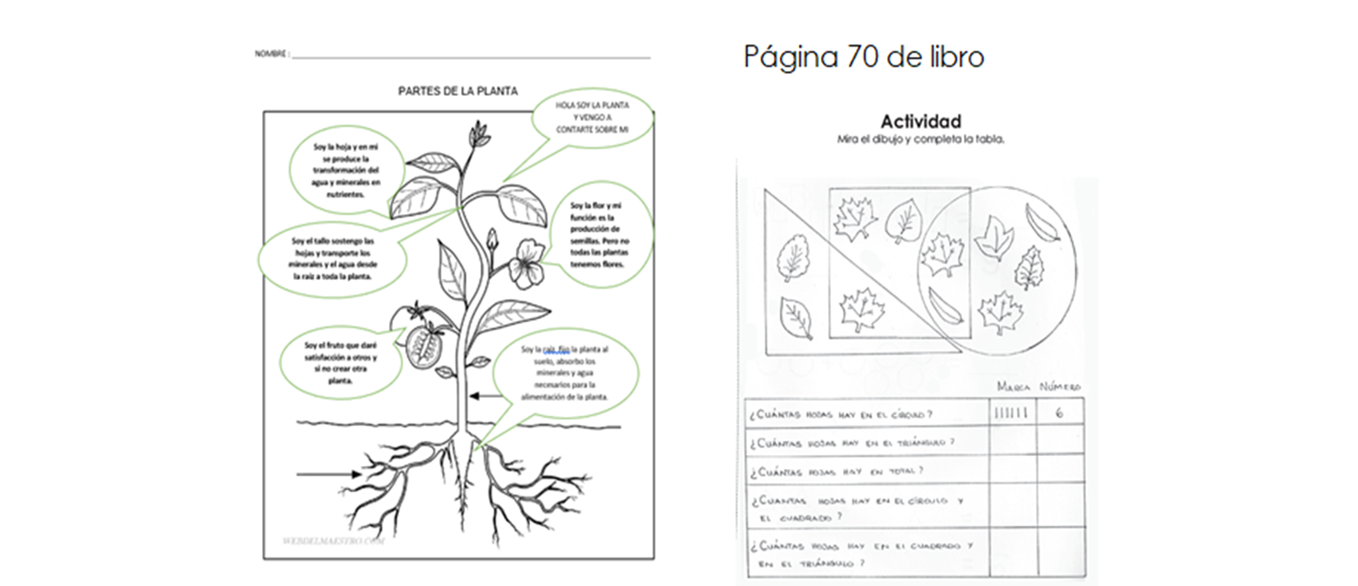 Profesora Zoraida: SEMANA 28 (DEL 7 AL 11 DE SEPTIEMBRE)