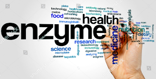 Enzyme Technology: Application and Commercial Production of Enzymes ...
