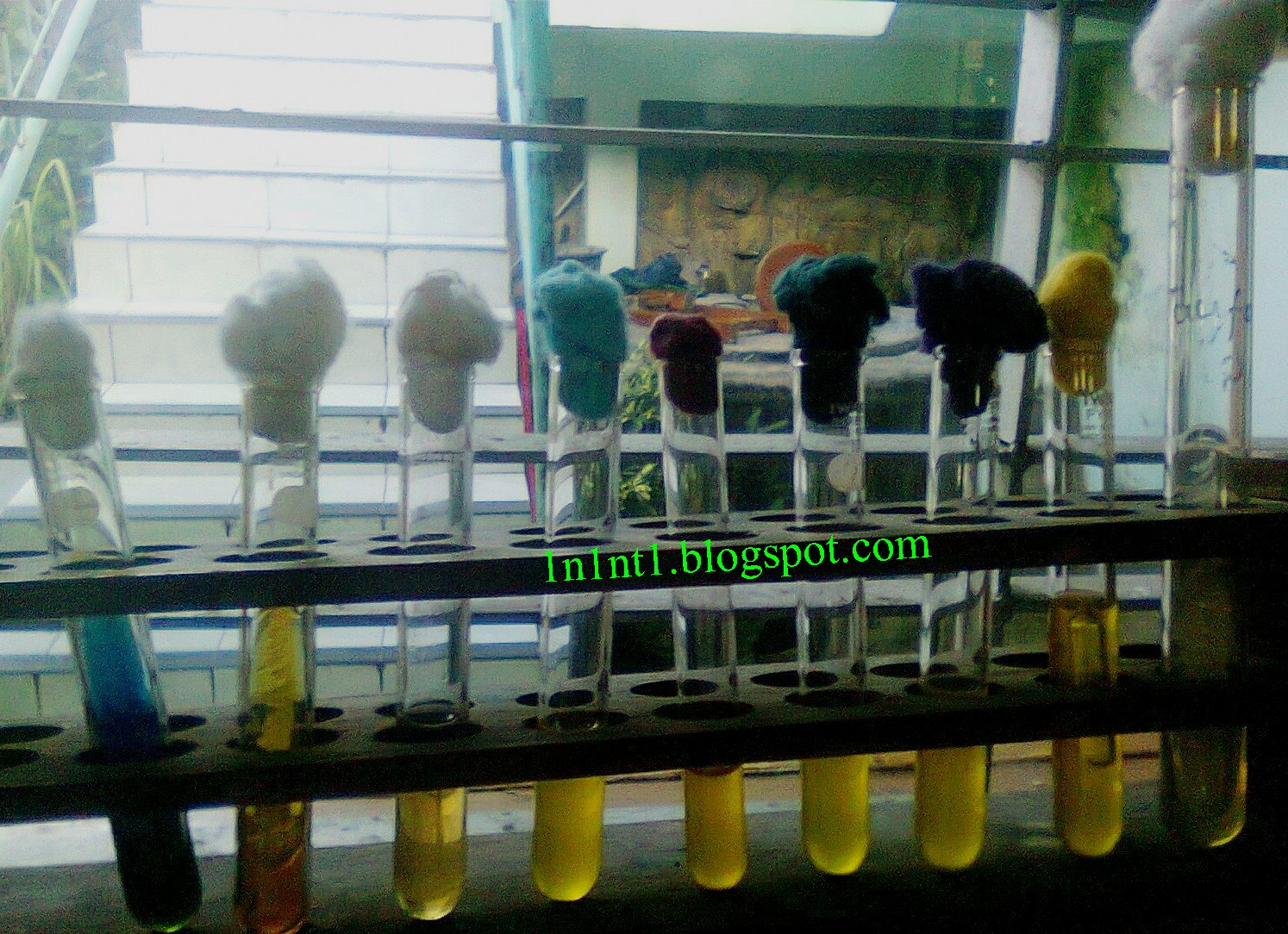 Kultur dan Hasil Uji Biokimia Bakteri Gram Negatif ~ Analis Kesehatan ...