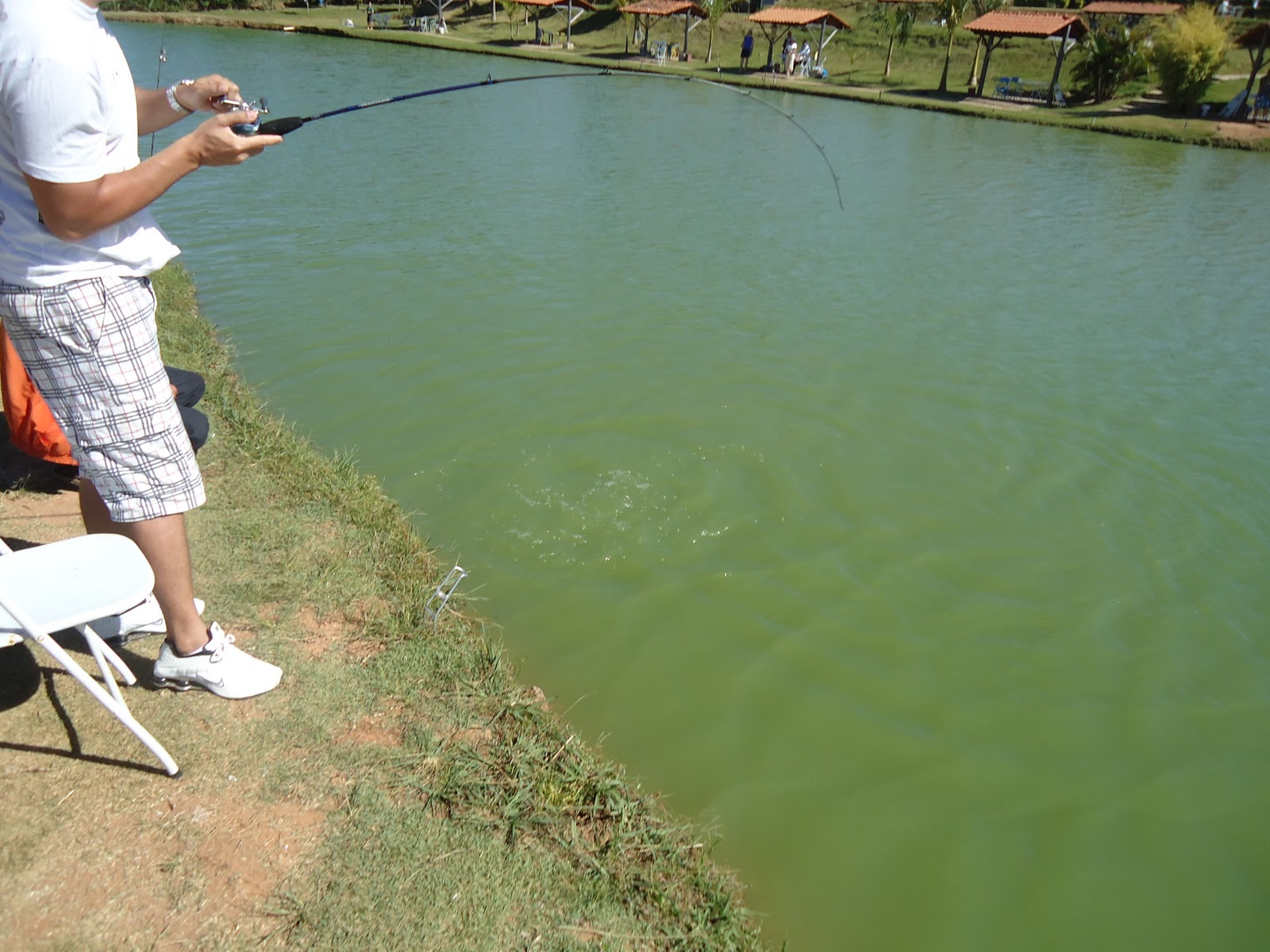 Fazollo's Fishing Team: Pescaria pesque-pague taguatinga