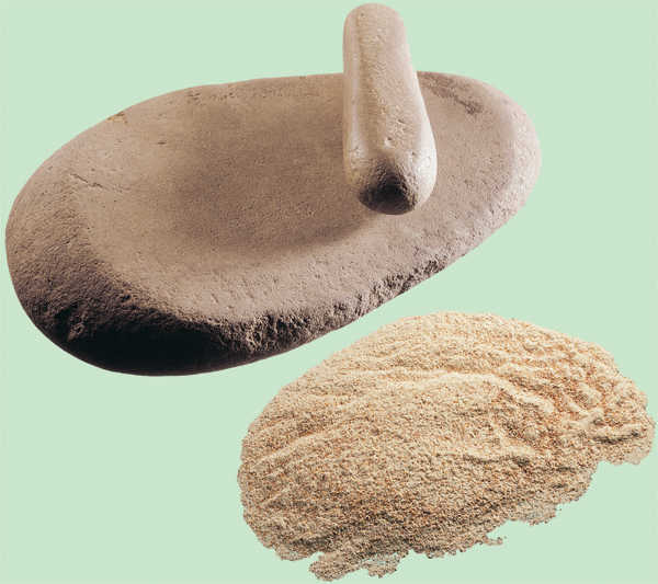 Mola salsa y Muries (tarea del templo de Vesta )