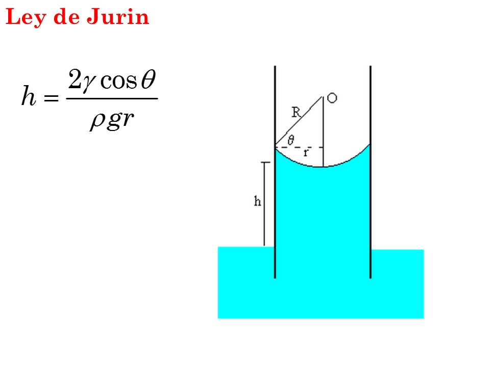 Física: Presentación Capilaridad
