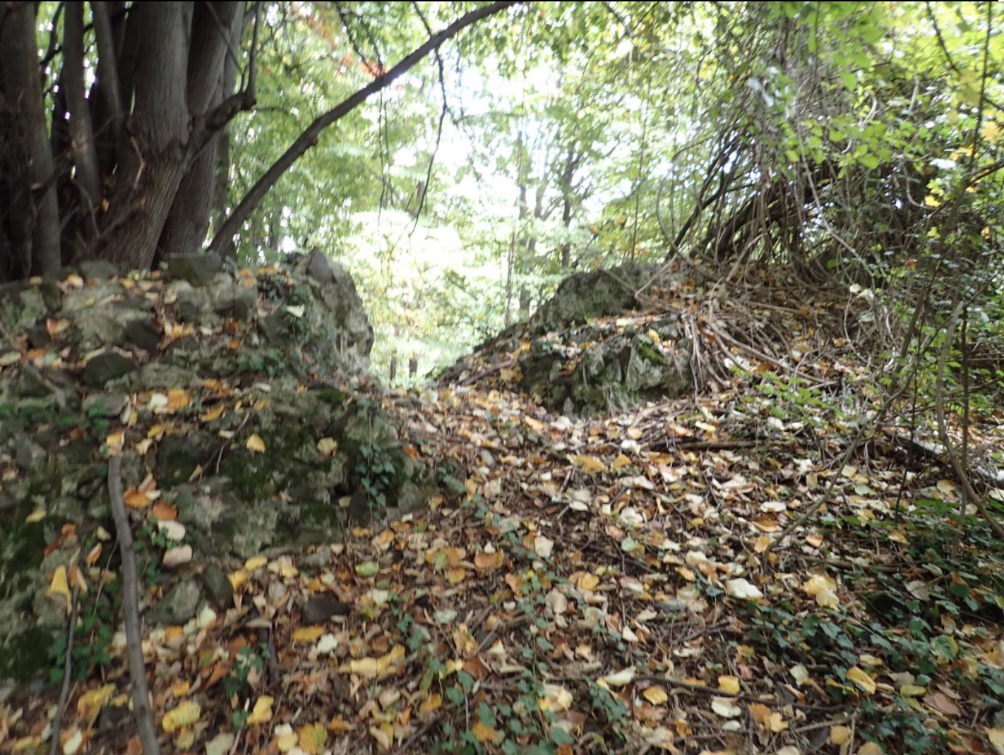 Old European culture: Trojan's city