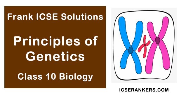 Frank Chapter 3 Principles of Genetics ICSE Solutions Class 10 Biology