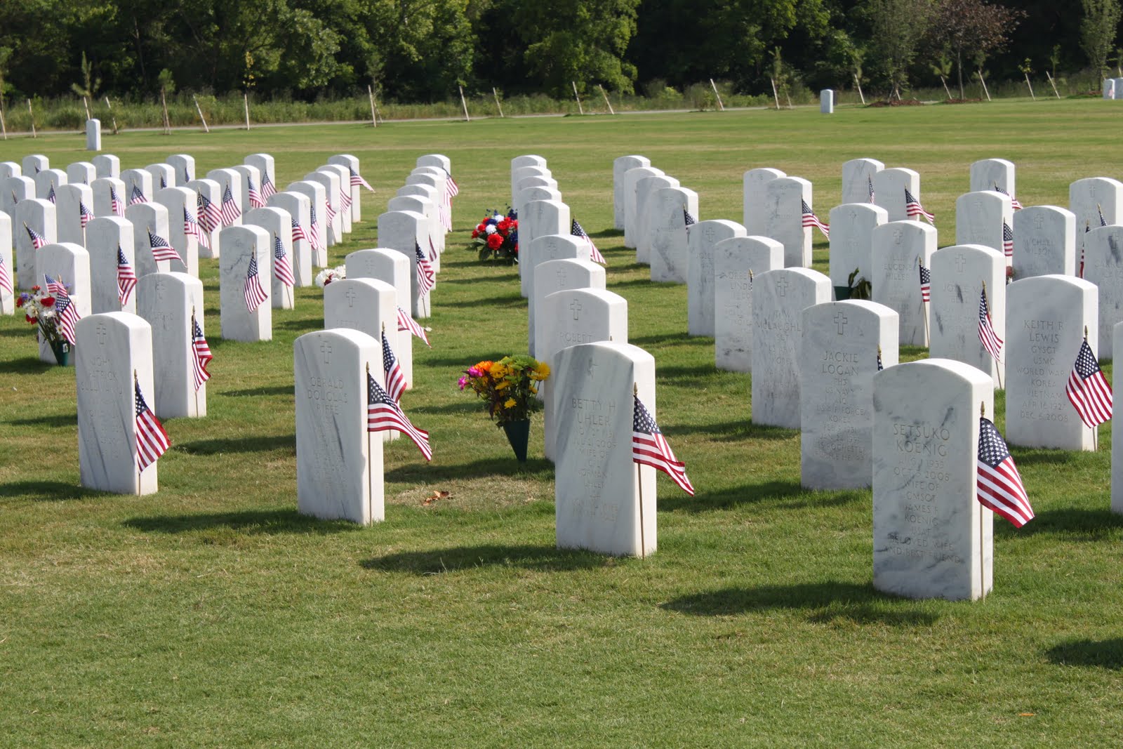 The Chestnut Burr: Alabama National Cemetery