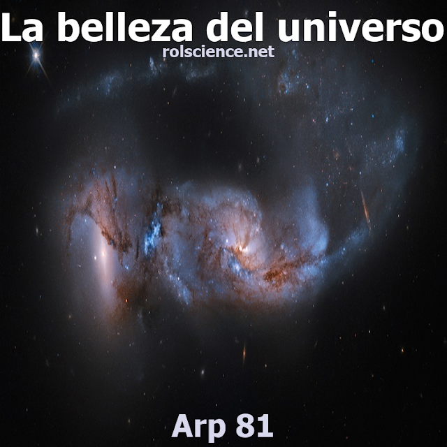 ROLscience: Página 215 de 365: Arp 81