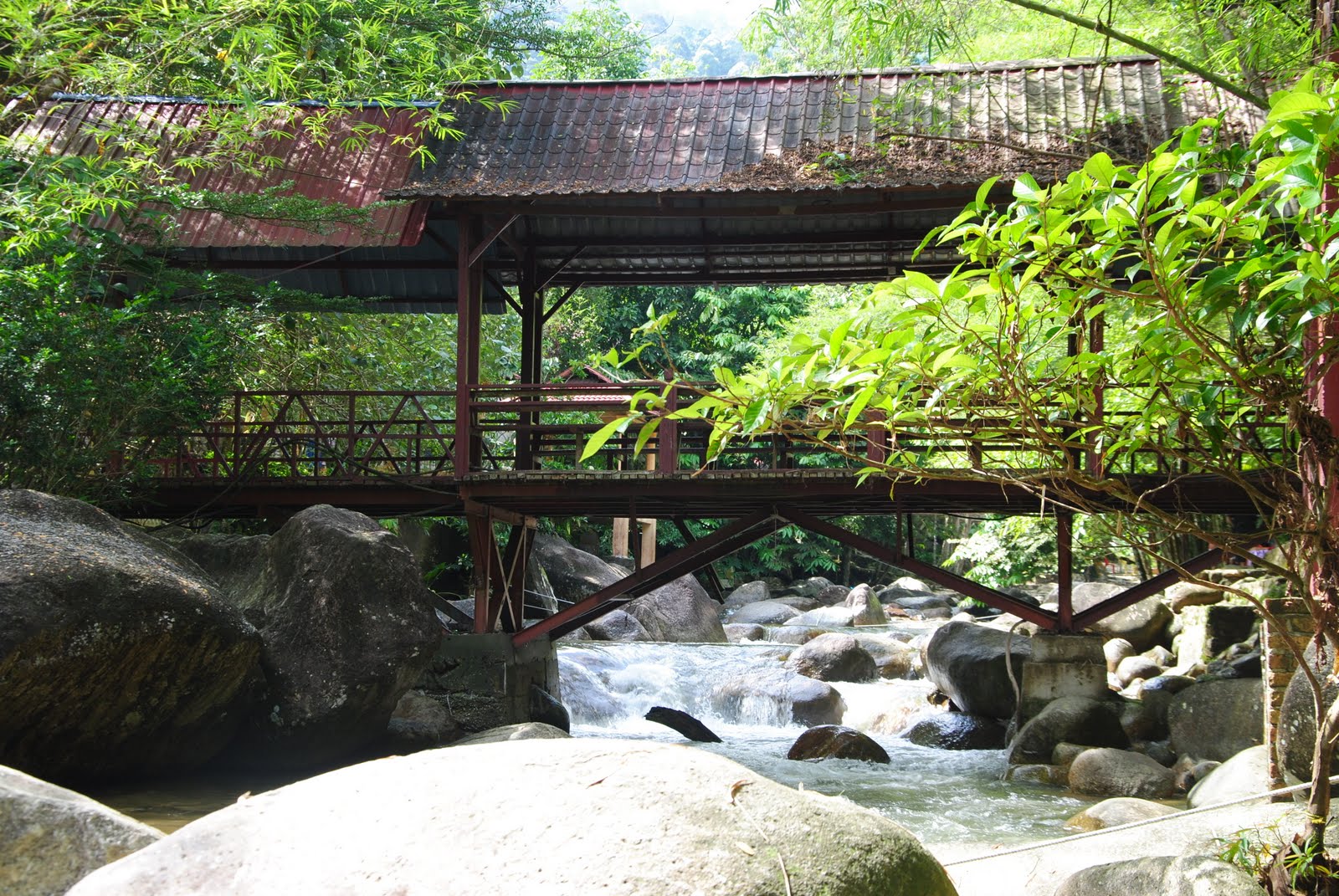 Kalumpang Resort & Training Centre: Pemandangan