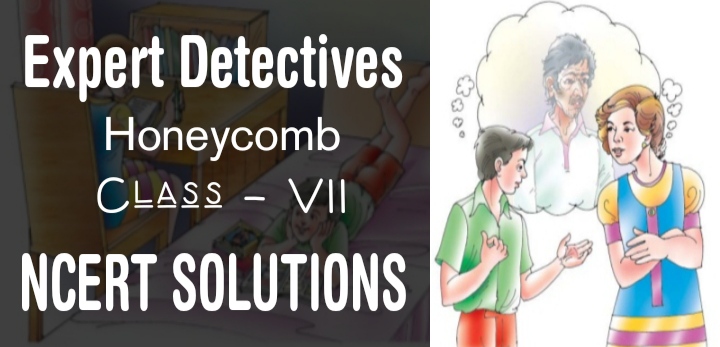 Expert Detectives class 7 NCERT Solutions - edunation19
