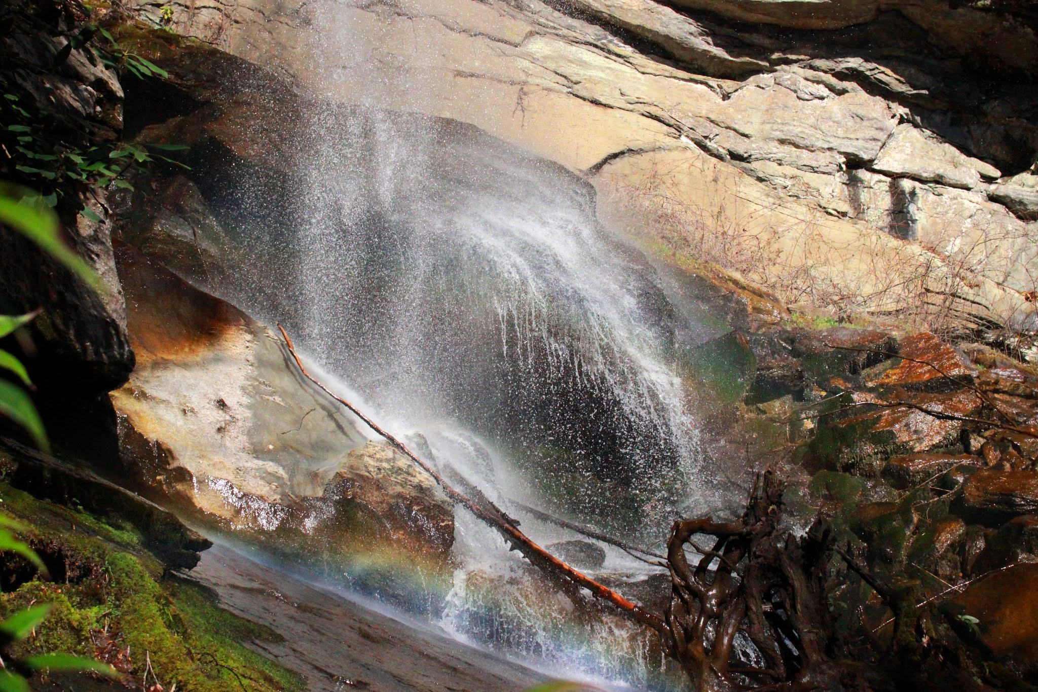 Cumberland Gal: Waterfall Keepers Trip #2: Lemon Falls, Logging Road ...